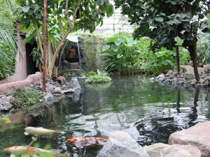 Dierentuin Almere Stadslandgoed Dierenpark Almere Jungle | DagjeWeg.NL